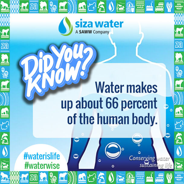 Siza Water (RF) (PTY) Ltd on LinkedIn: #water #sizawater #savewater # ... Siza Water (RF) (PTY) Ltd on LinkedIn: #water #sizawater #savewater # ...
