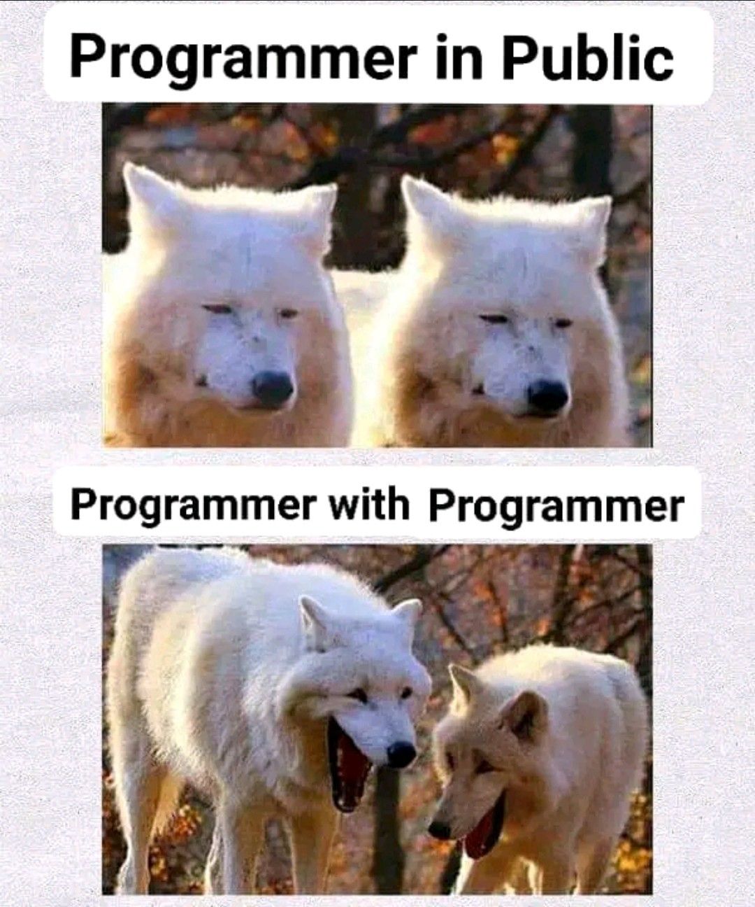 Abhinay Singh on LinkedIn: #programmer #programming #canada # ... Abhinay Singh on LinkedIn: #programmer #programming #canada # ...