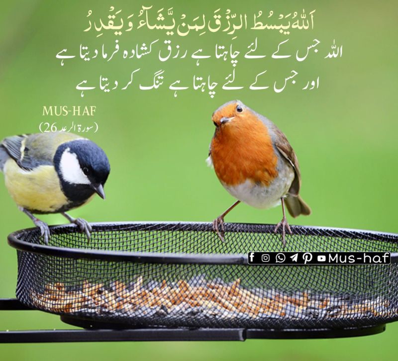 Muhammad Fahad Virk posted on LinkedIn Muhammad Fahad Virk posted on LinkedIn