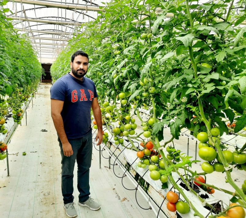 Muhammad Umer Rabbani, M.Sc, (PMP)® on LinkedIn: #cea #agritech # ... Muhammad Umer Rabbani, M.Sc, (PMP)® on LinkedIn: #cea #agritech # ...
