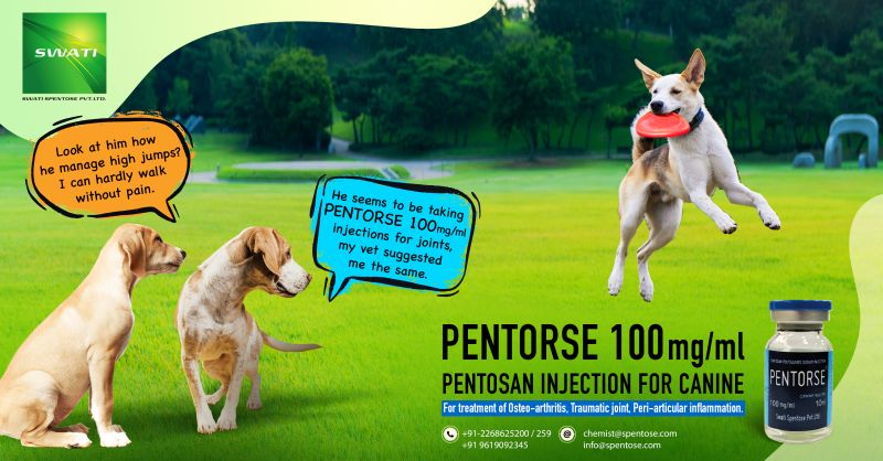 Krishna Gupta on LinkedIn: Pentorse is used for Osteoarthritis in Dogs ... Krishna Gupta on LinkedIn: Pentorse is used for Osteoarthritis in Dogs ...