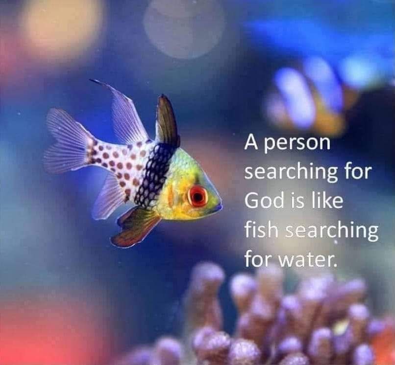 Dhivyaa T posted on LinkedIn Dhivyaa T posted on LinkedIn