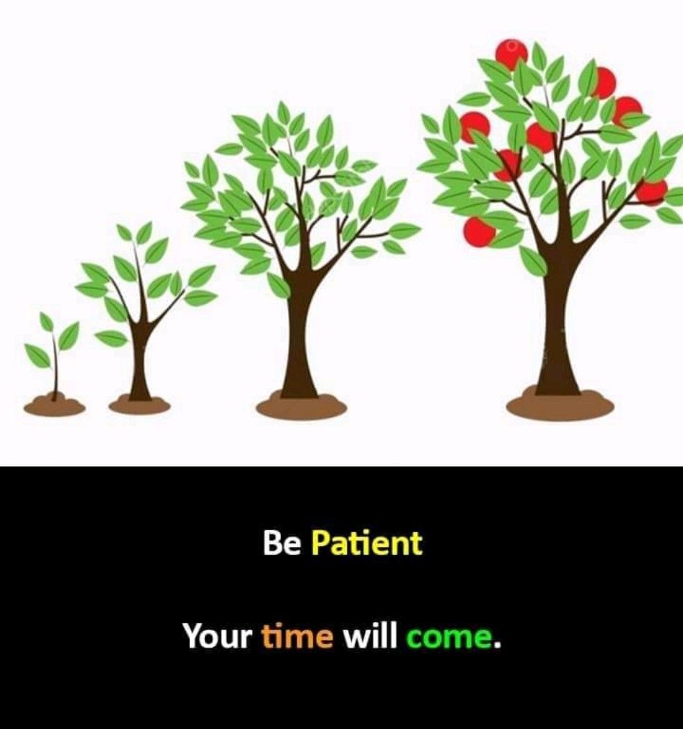 TALHA FAIZAN posted on LinkedIn TALHA FAIZAN posted on LinkedIn