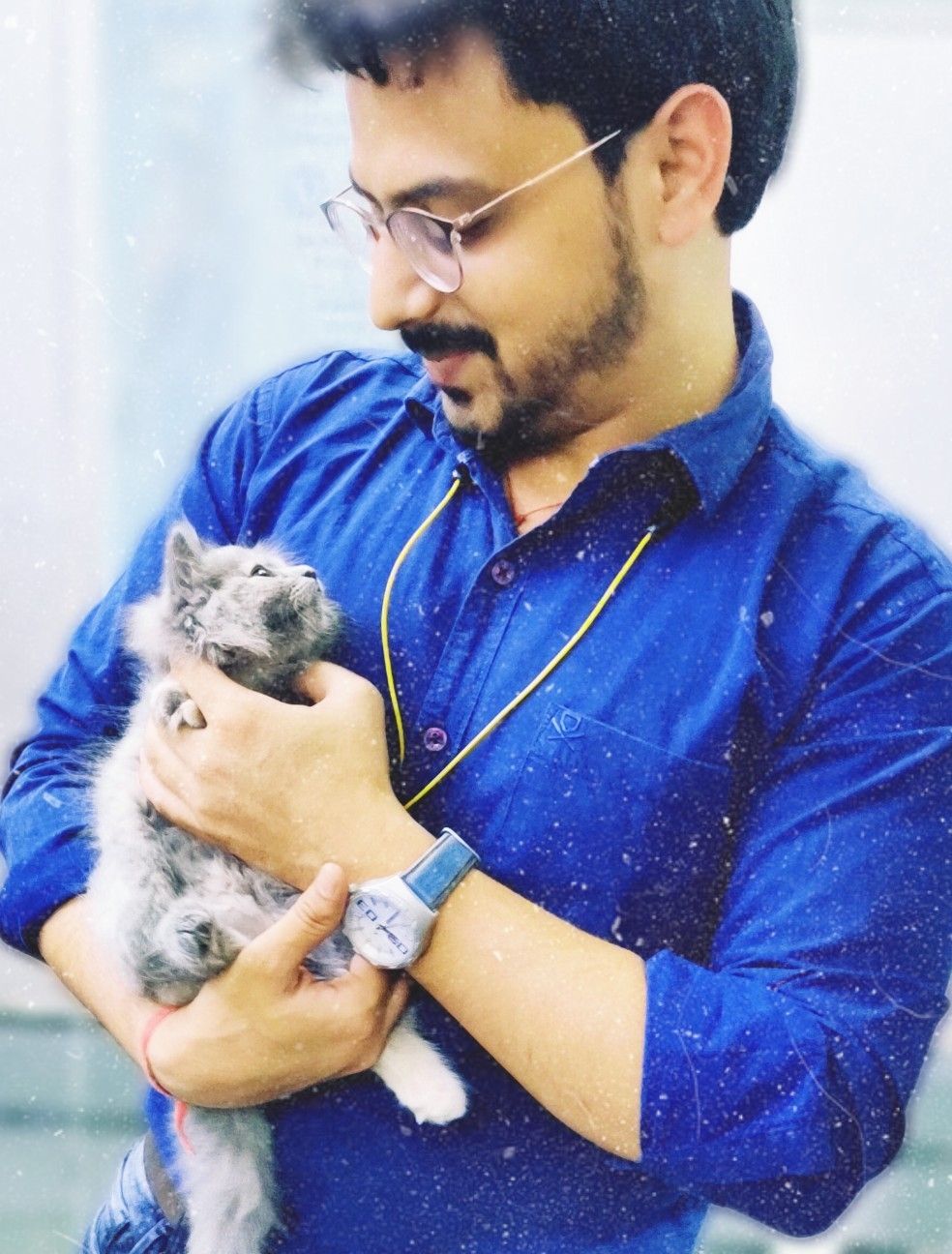 Dr Harshit Mishra on LinkedIn: #catsofinstagram #cats Dr Harshit Mishra on LinkedIn: #catsofinstagram #cats