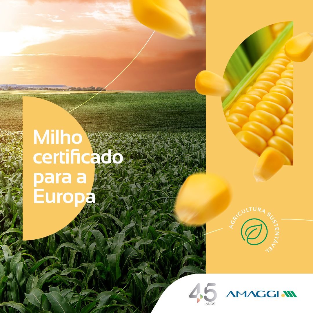 Amaggi no LinkedIn: #amaggi #agro #esg #milho #certificacao #baixocarbono Amaggi no LinkedIn: #amaggi #agro #esg #milho #certificacao #baixocarbono