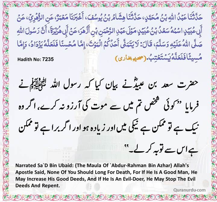 Muhammad Haseeb Ahmad posted on LinkedIn Muhammad Haseeb Ahmad posted on LinkedIn