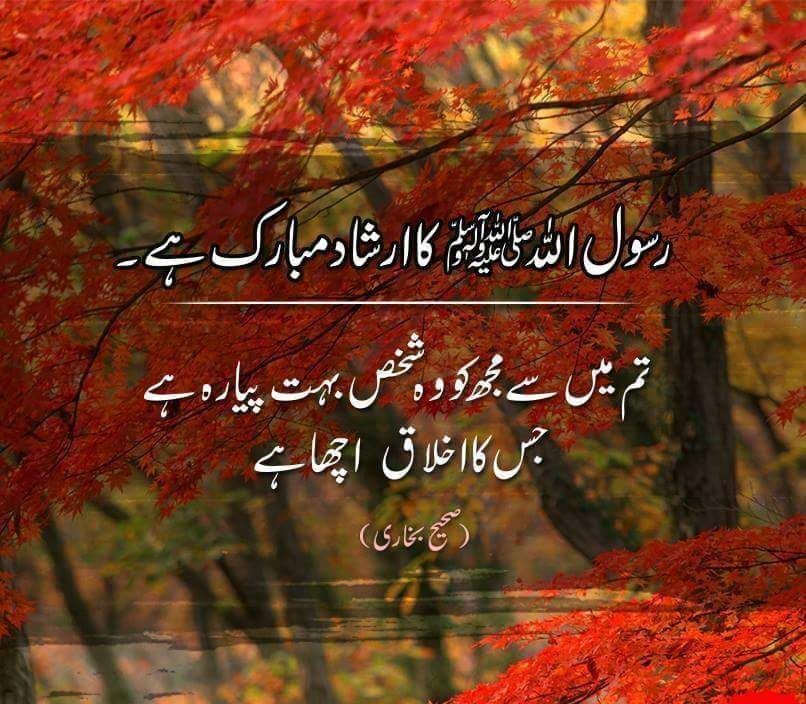 Basharat Hussain Qureshi on LinkedIn: Beshak | 10 comments Basharat Hussain Qureshi on LinkedIn: Beshak | 10 comments