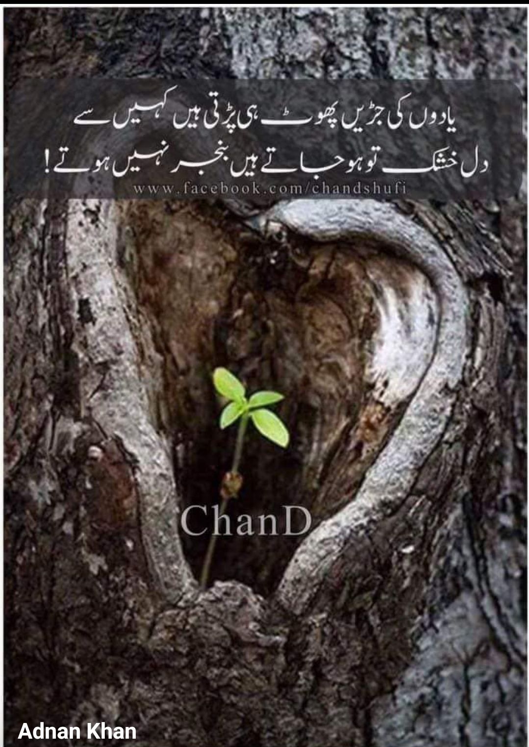 Syed Amir Raza Rizvi posted on LinkedIn Syed Amir Raza Rizvi posted on LinkedIn