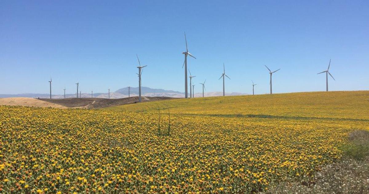 Avangrid Renewables on LinkedIn: Congratulations Salesforce, on your ... Avangrid Renewables on LinkedIn: Congratulations Salesforce, on your ...
