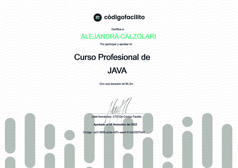 Alejandra Calzolari on LinkedIn: Firts Java Certification Alejandra Calzolari on LinkedIn: Firts Java Certification