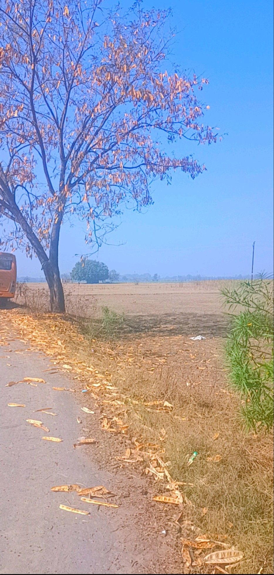Arshdeep Kaur on LinkedIn: #nature #beauty Arshdeep Kaur on LinkedIn: #nature #beauty