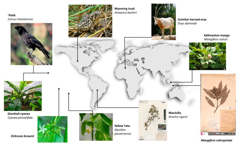 Diversity MDPI on LinkedIn: #diversitymdpi #ecosystem Diversity MDPI on LinkedIn: #diversitymdpi #ecosystem