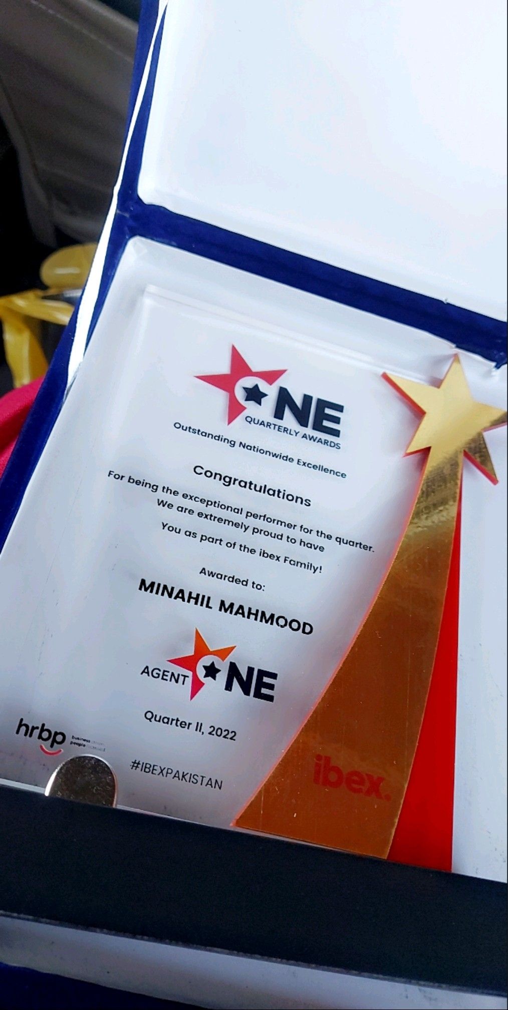 Minahil Mehmood on LinkedIn: #ibex Minahil Mehmood on LinkedIn: #ibex