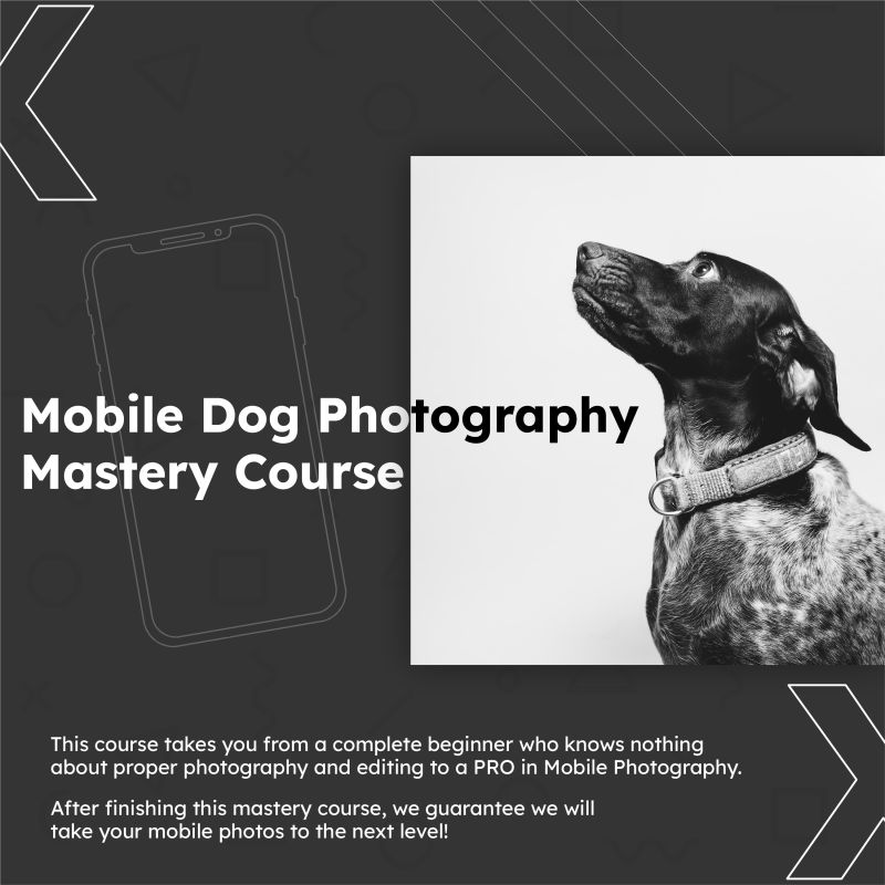 Gaurang Agrawal on LinkedIn: #graphicdesigner #graphicdesign #instagram ... Gaurang Agrawal on LinkedIn: #graphicdesigner #graphicdesign #instagram ...