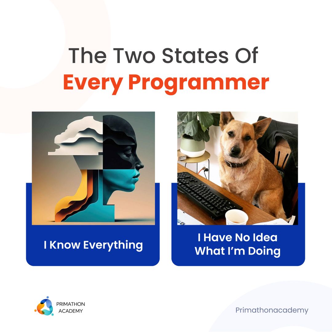 Primathon Academy on LinkedIn: #developermemes #codermemes #codinglife ... Primathon Academy on LinkedIn: #developermemes #codermemes #codinglife ...