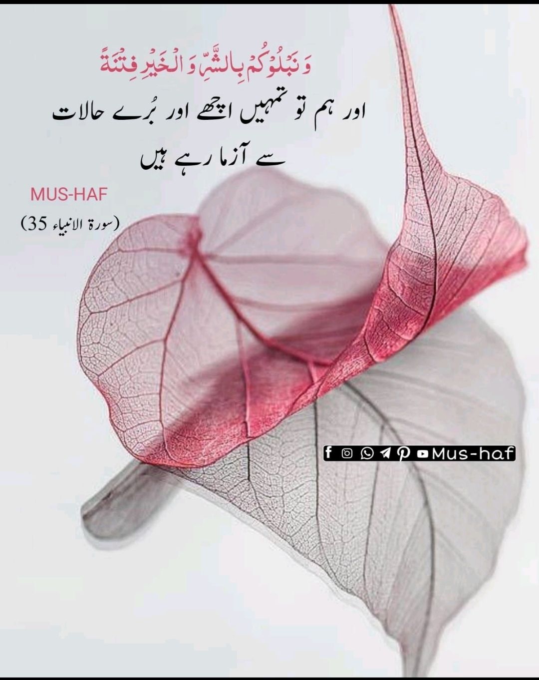 Salamat Ali Jogi posted on LinkedIn Salamat Ali Jogi posted on LinkedIn