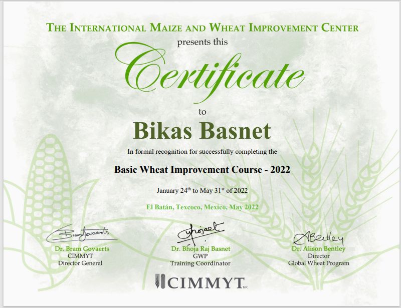 Bikas Basnet on LinkedIn: #bwic #thankyou Bikas Basnet on LinkedIn: #bwic #thankyou
