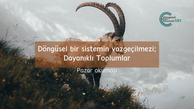 Cemre Ruban LinkedIn’de yayınladı Cemre Ruban LinkedIn’de yayınladı