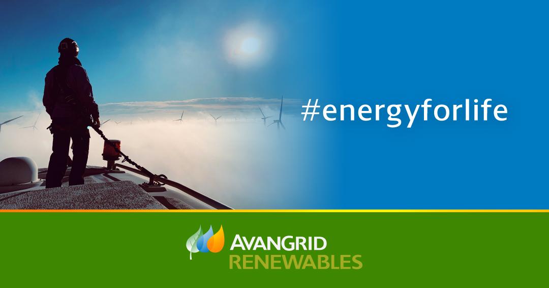 Avangrid Renewables on LinkedIn: #energyforlife #windfarm #birdslanding ... Avangrid Renewables on LinkedIn: #energyforlife #windfarm #birdslanding ...