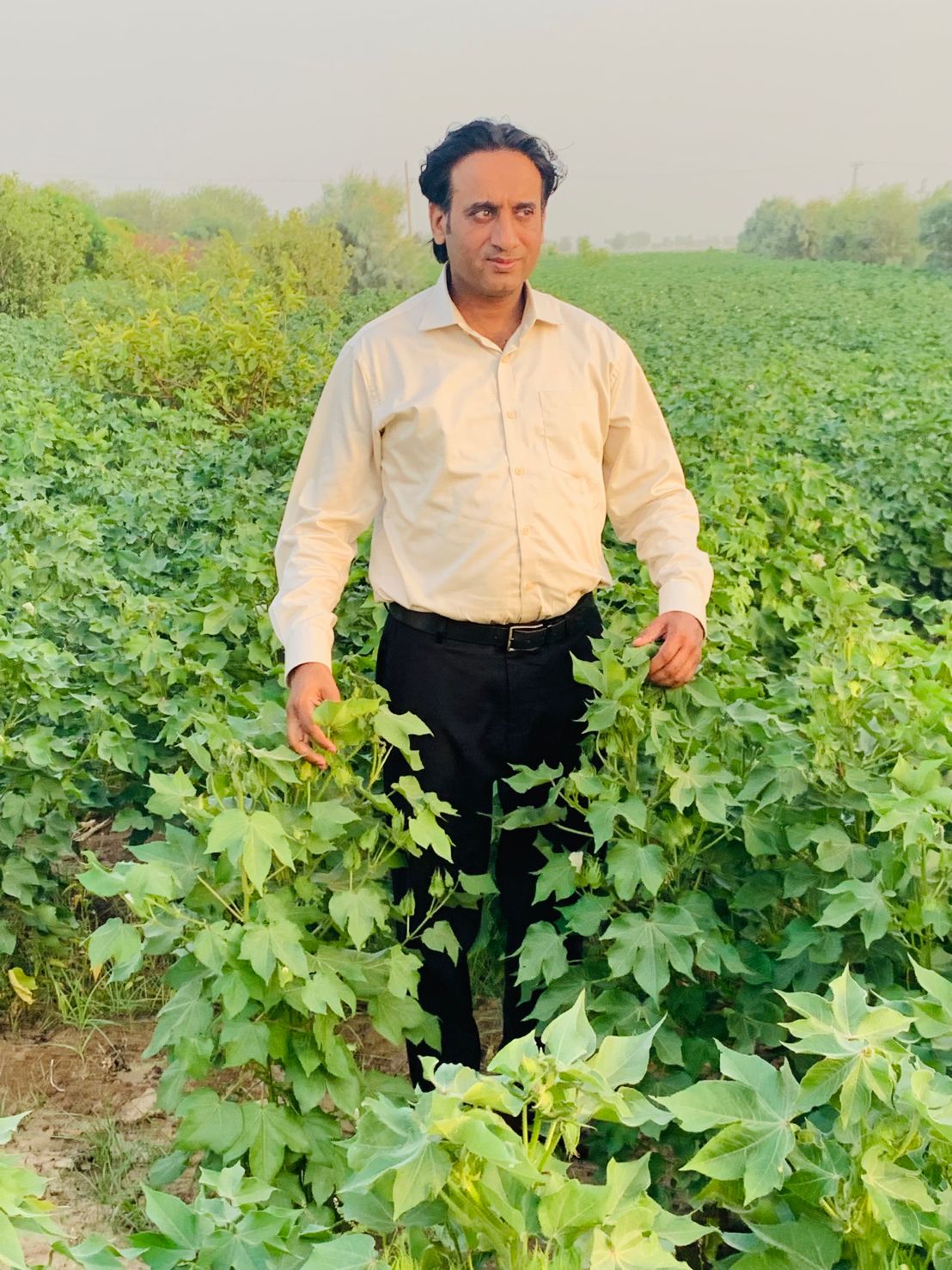 wasim akhtar on LinkedIn: #pakistan wasim akhtar on LinkedIn: #pakistan