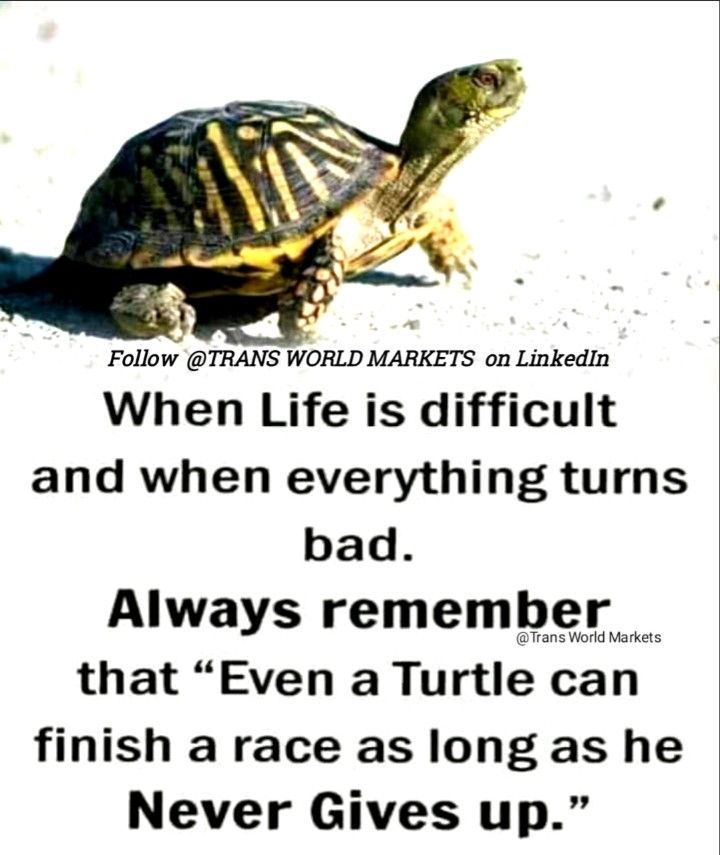Sasidharan K. posted on LinkedIn Sasidharan K. posted on LinkedIn