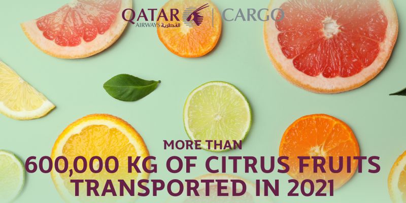 #movedbypeople #chooseqatarairwayscargo #aircargo #airfreight #capacity ... #movedbypeople #chooseqatarairwayscargo #aircargo #airfreight #capacity ...