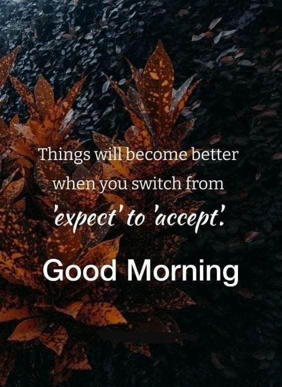 Dr. Ghousia Khatoon posted on LinkedIn Dr. Ghousia Khatoon posted on LinkedIn