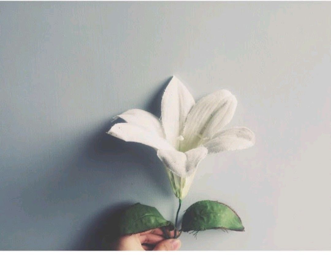 Sajal Ahsan on LinkedIn: #copywriter #writingcommunity #storyteller # ... Sajal Ahsan on LinkedIn: #copywriter #writingcommunity #storyteller # ...