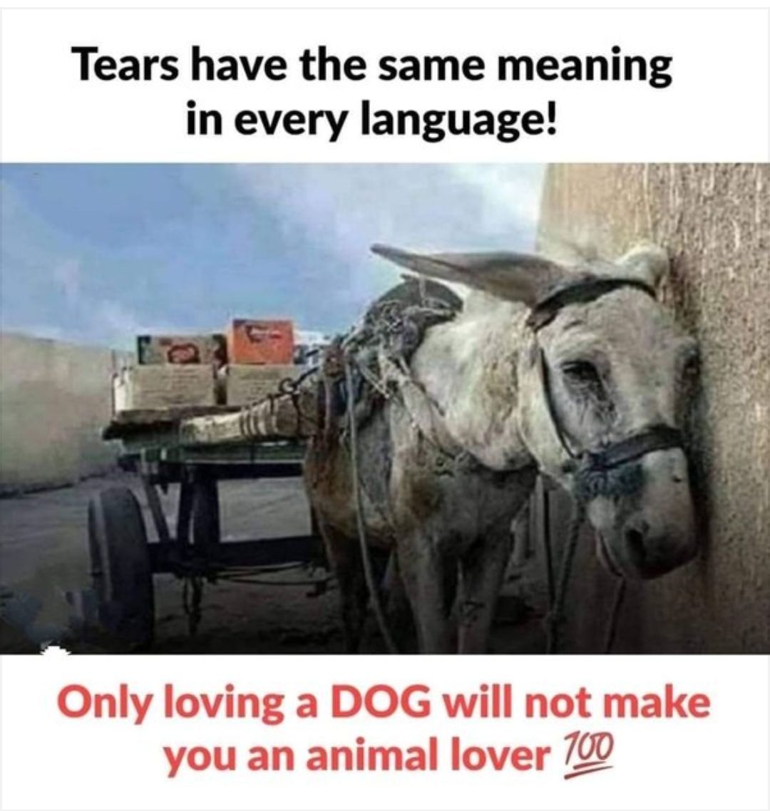 Sagar Aulakh on LinkedIn: Deep Meaning 🙌 Sagar Aulakh on LinkedIn: Deep Meaning 🙌