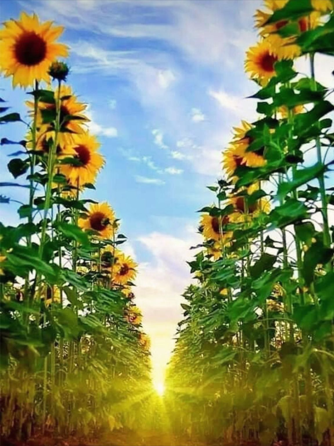 Pallav Sharma on LinkedIn: #enjoylife #stayhappy Pallav Sharma on LinkedIn: #enjoylife #stayhappy