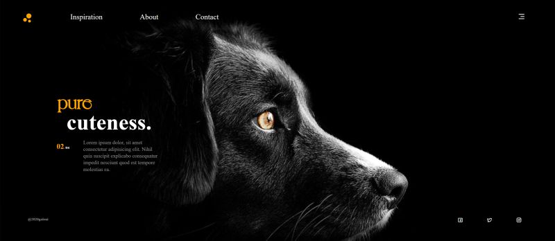 abhishek punase on LinkedIn: #html #css abhishek punase on LinkedIn: #html #css