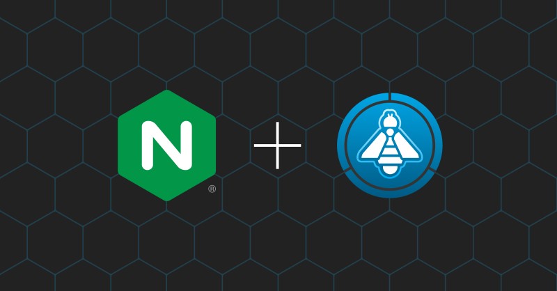 NGINX on LinkedIn: #owasp #modsecurity NGINX on LinkedIn: #owasp #modsecurity
