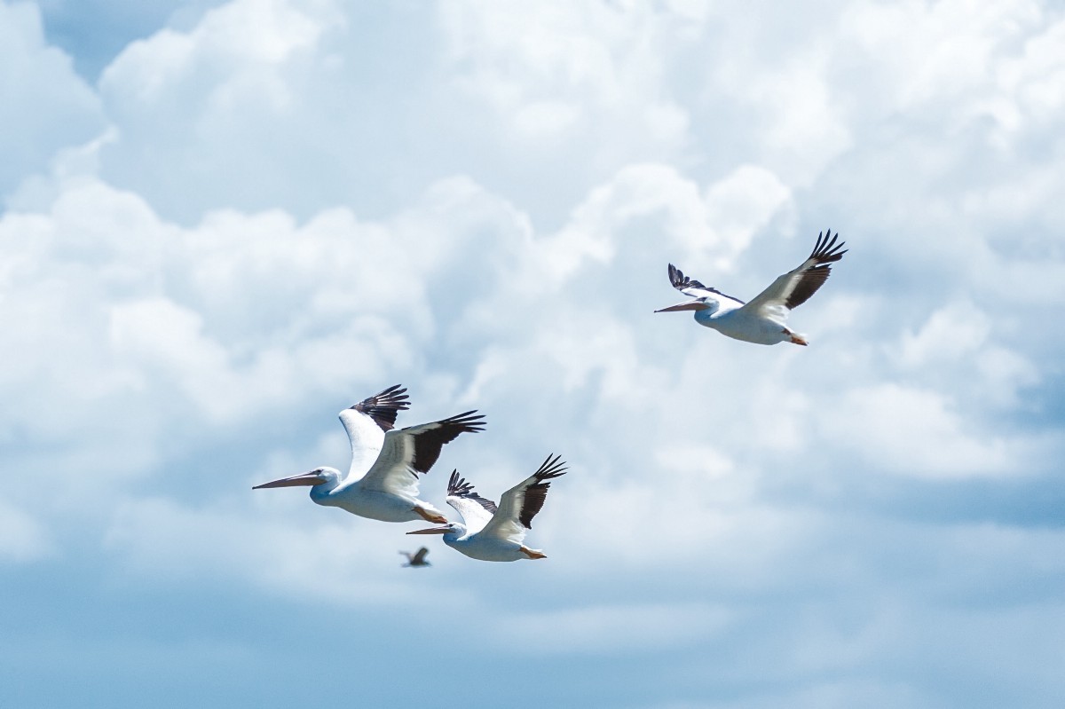 Brendan Troy on LinkedIn: Migrating Data From MongoDB to PostgreSQL ... Brendan Troy on LinkedIn: Migrating Data From MongoDB to PostgreSQL ...