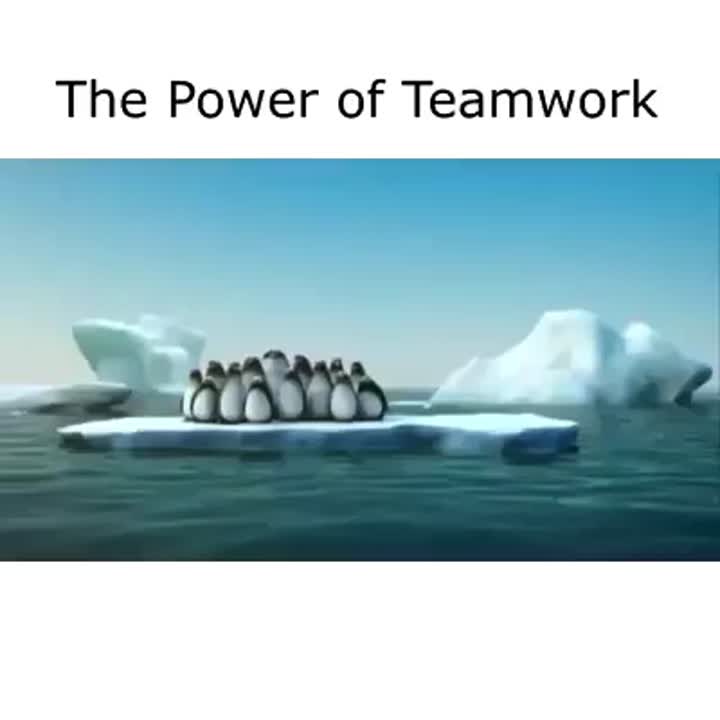 Suhaila Alqassm posted on LinkedIn Suhaila Alqassm posted on LinkedIn