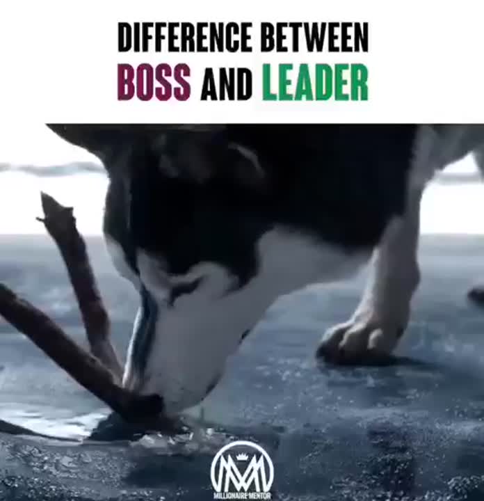 Gopal Pandey on LinkedIn: Boss Vs Leader Gopal Pandey on LinkedIn: Boss Vs Leader