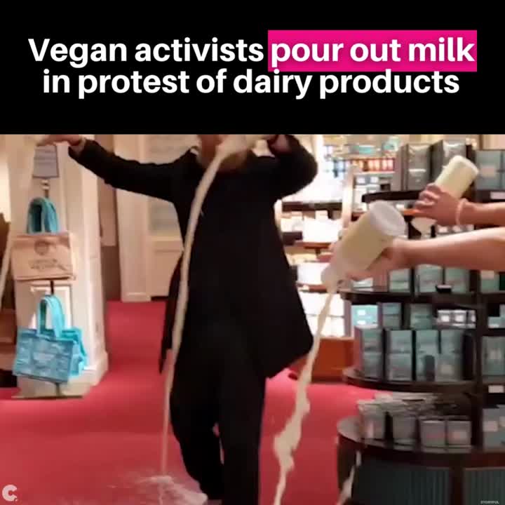 Cheddar on LinkedIn: Vegan activists pour out milk in protest of dairy ... Cheddar on LinkedIn: Vegan activists pour out milk in protest of dairy ...