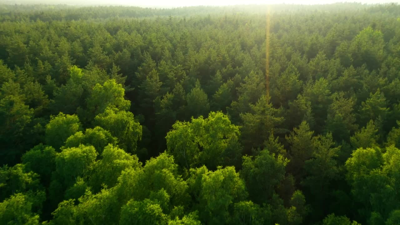 Joe Graves on LinkedIn: Sigma Sustainability Joe Graves on LinkedIn: Sigma Sustainability