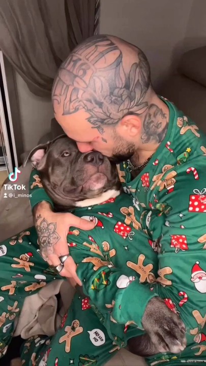 Lenka Love on LinkedIn: πΈπΈπΈ Pittie Love πΈπΈπΈ Experience unconditional ... Lenka Love on LinkedIn: πΈπΈπΈ Pittie Love πΈπΈπΈ Experience unconditional ...
