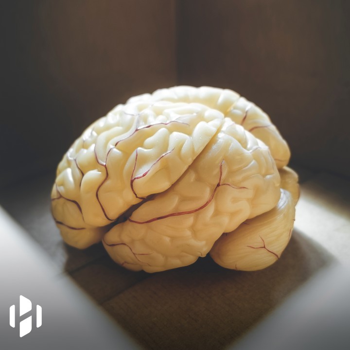 Dr. Shanmukha Raju on LinkedIn: #science #research #biology Dr. Shanmukha Raju on LinkedIn: #science #research #biology