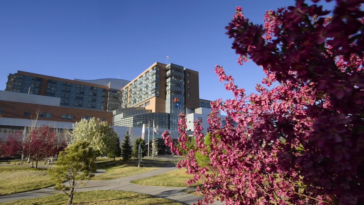 Children's Hospital Colorado on LinkedIn: Children’s Colorado Ranked ... Children's Hospital Colorado on LinkedIn: Children’s Colorado Ranked ...