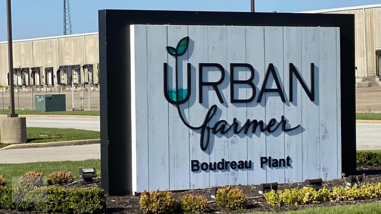 John Keigher on LinkedIn: #urbanfarmer #urbanfarmerfamily John Keigher on LinkedIn: #urbanfarmer #urbanfarmerfamily