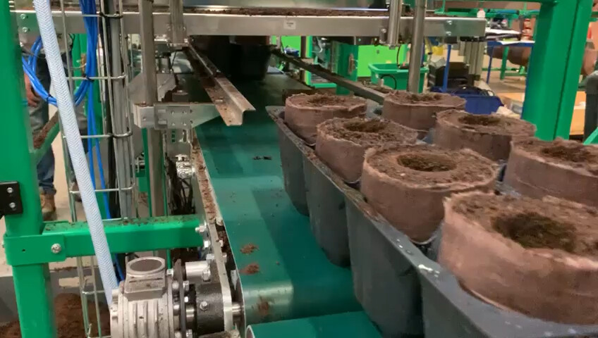 Darcy Werneck on LinkedIn: Nearly 4 litres Jumbo Ellepots ready for ... Darcy Werneck on LinkedIn: Nearly 4 litres Jumbo Ellepots ready for ...