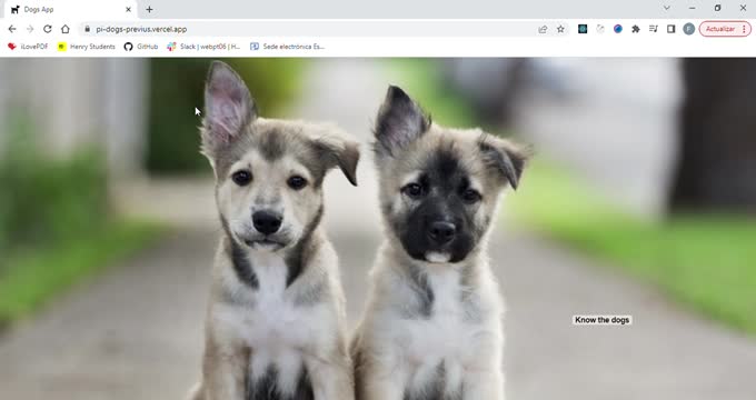 #react #frontend #nodejs #project #backend #redux #fullstackdeveloper ... #react #frontend #nodejs #project #backend #redux #fullstackdeveloper ...