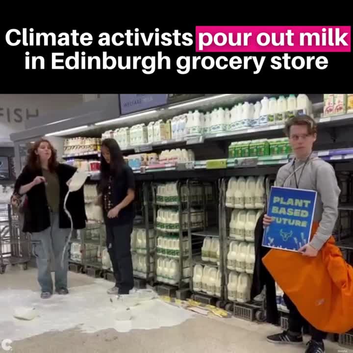 Saso Aleksandar Vrboski, Ph.D. on LinkedIn: Climate activists pour out ... Saso Aleksandar Vrboski, Ph.D. on LinkedIn: Climate activists pour out ...