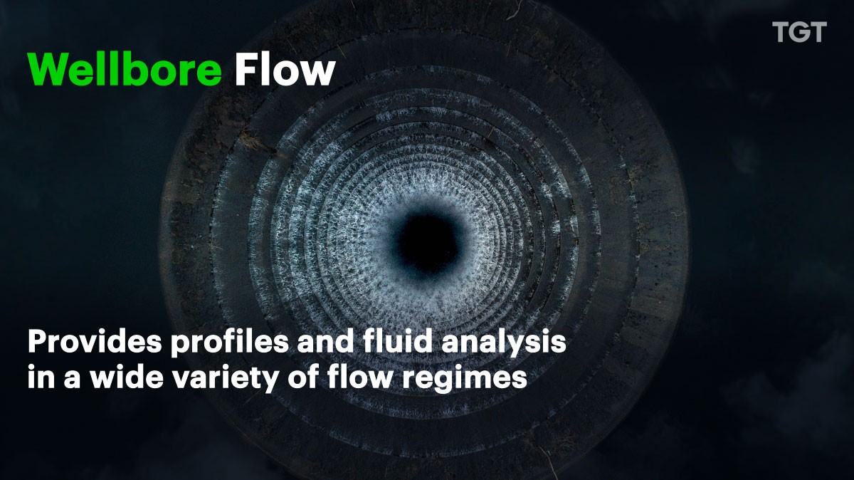 TGT Diagnostics on LinkedIn: Wellbore Flow TGT Diagnostics on LinkedIn: Wellbore Flow