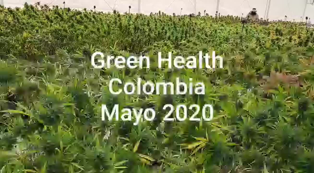 Eduardo Enrique Mayorga Rojas on LinkedIn: #government #seeds #cannabis ... Eduardo Enrique Mayorga Rojas on LinkedIn: #government #seeds #cannabis ...