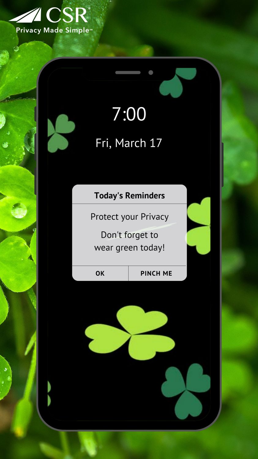 CSR Privacy Solutions, Inc. on LinkedIn: #pinched #st CSR Privacy Solutions, Inc. on LinkedIn: #pinched #st