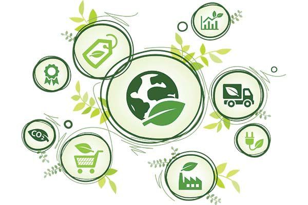 Ana Maria Ferraro on LinkedIn: Best practices in logistics sustainability Ana Maria Ferraro on LinkedIn: Best practices in logistics sustainability