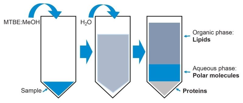Waters | Andrew Alliance on LinkedIn: #lipidextraction #connectedlaboratory Waters | Andrew Alliance on LinkedIn: #lipidextraction #connectedlaboratory