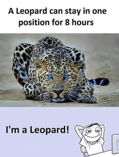 #understandingdata #codingjokes #codinghumor #dev #developer | James ... #understandingdata #codingjokes #codinghumor #dev #developer | James ...